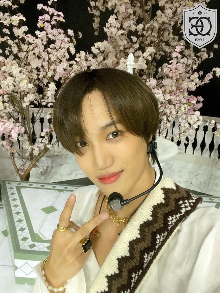 Kai image