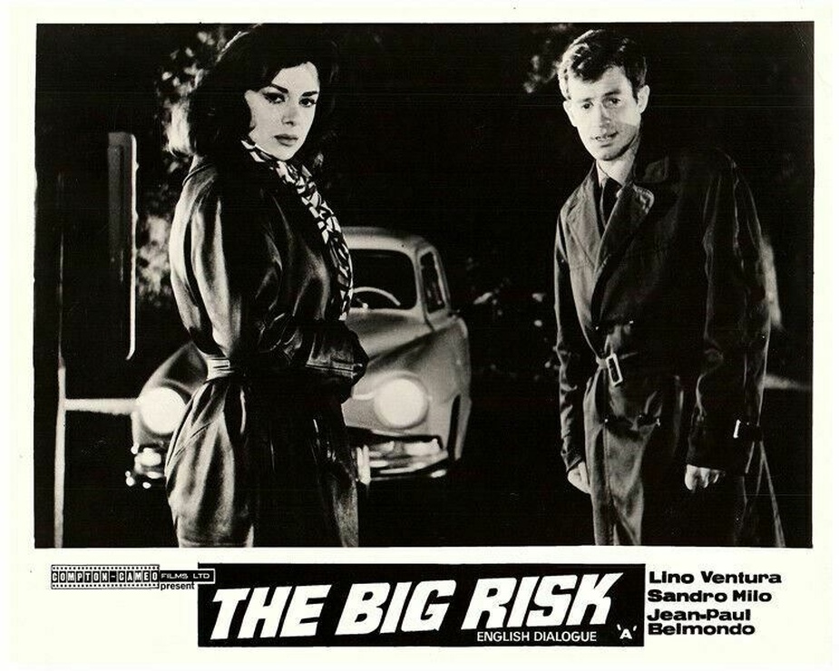 Image of The Big Risk