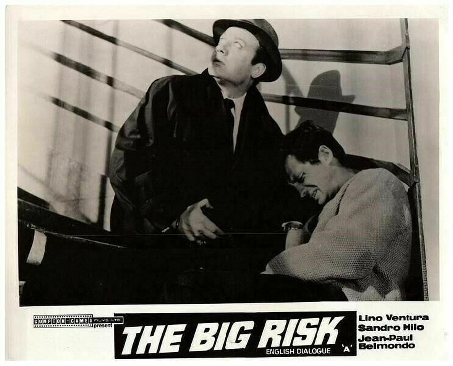 Picture of The Big Risk