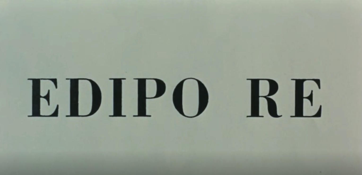 Picture of Oedipus Rex