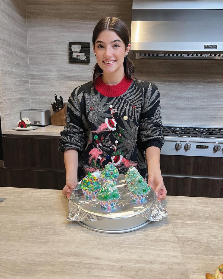 Picture of Charli D'Amelio