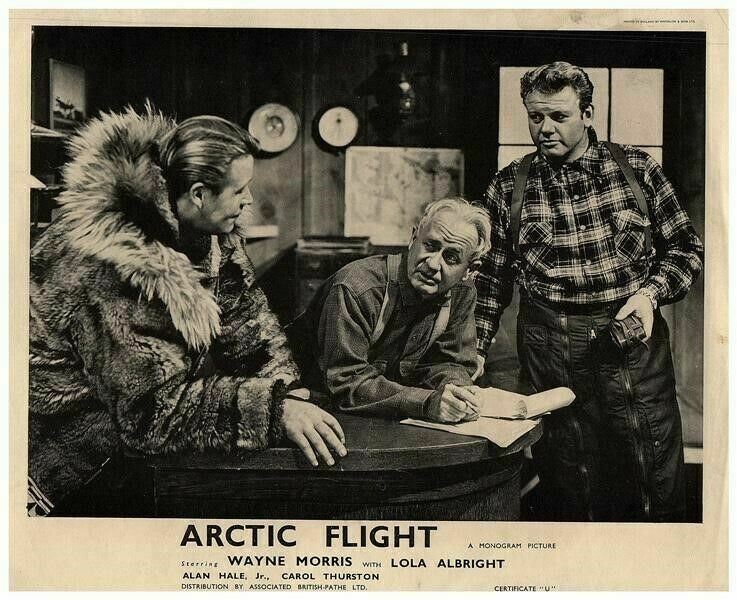 Picture of Arctic Flight