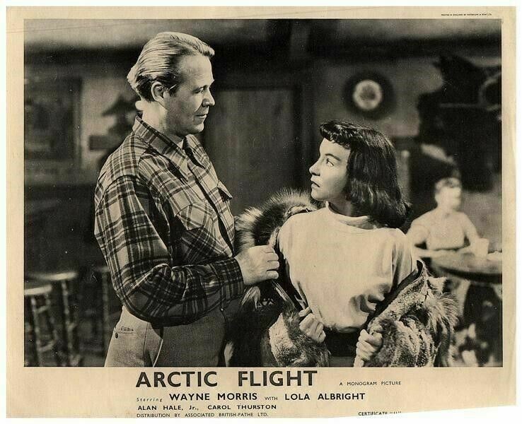 Arctic Flight image