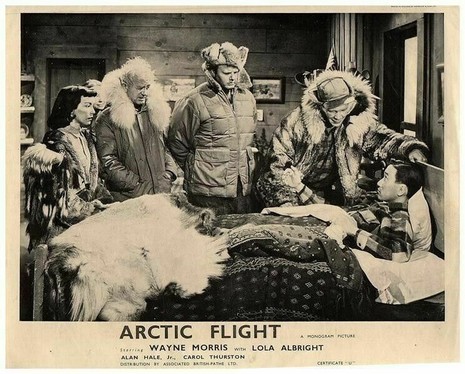 Image of Arctic Flight