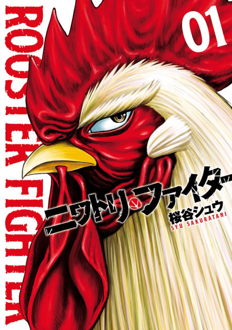 Picture of Rooster Fighter