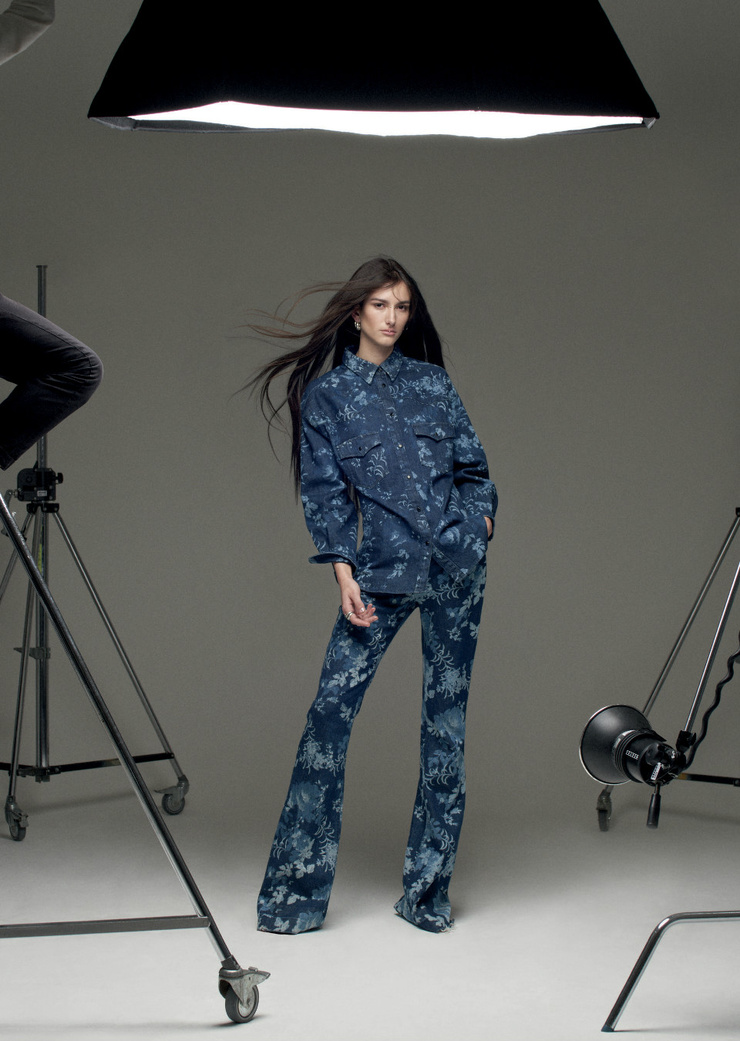 Picture of Chai Maximus