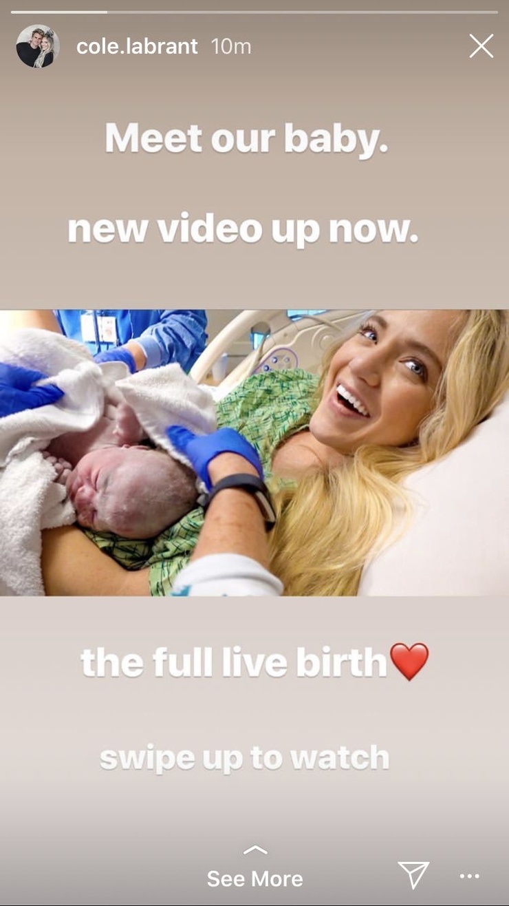 Image of Zealand labrant