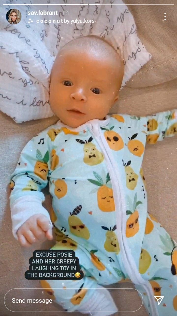 Zealand labrant image