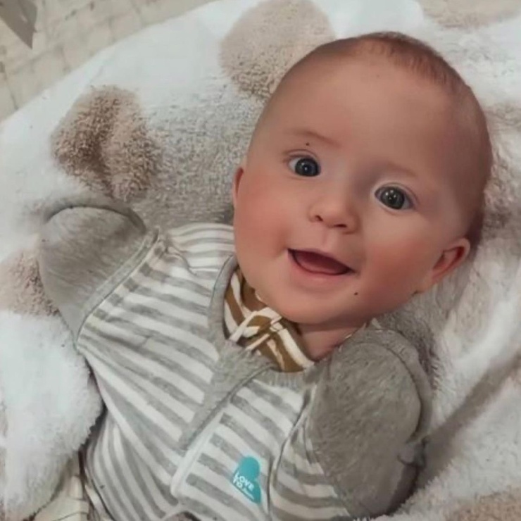 Picture of Zealand labrant