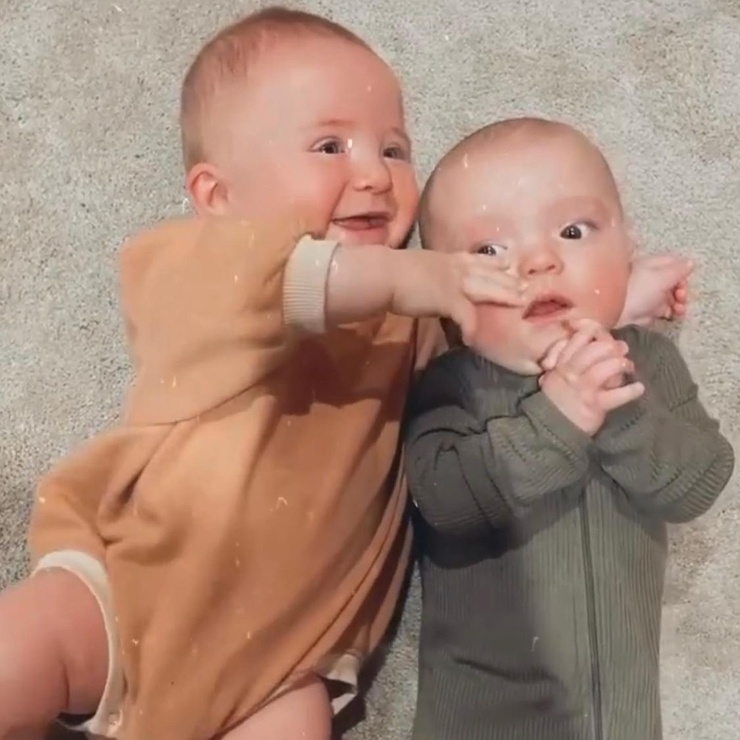 Picture of Zealand labrant