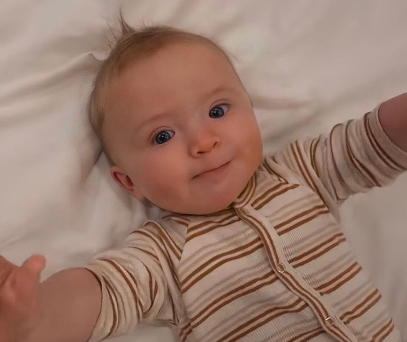 Zealand labrant image