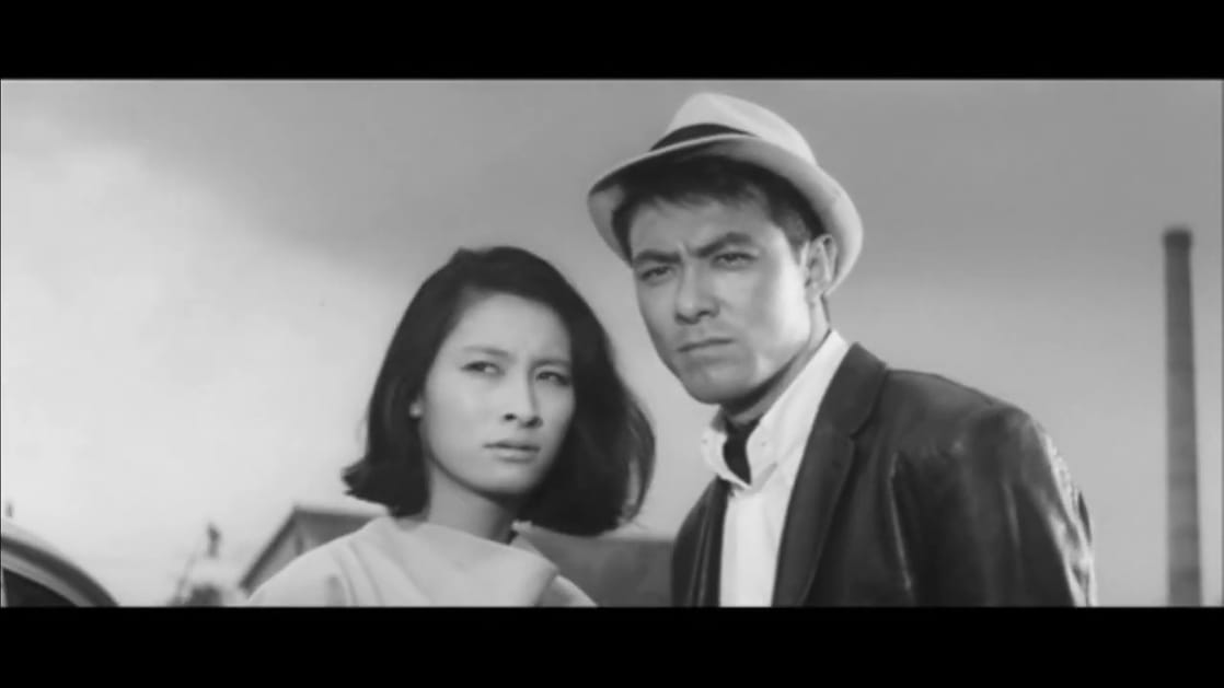 Image of Homeless Dog