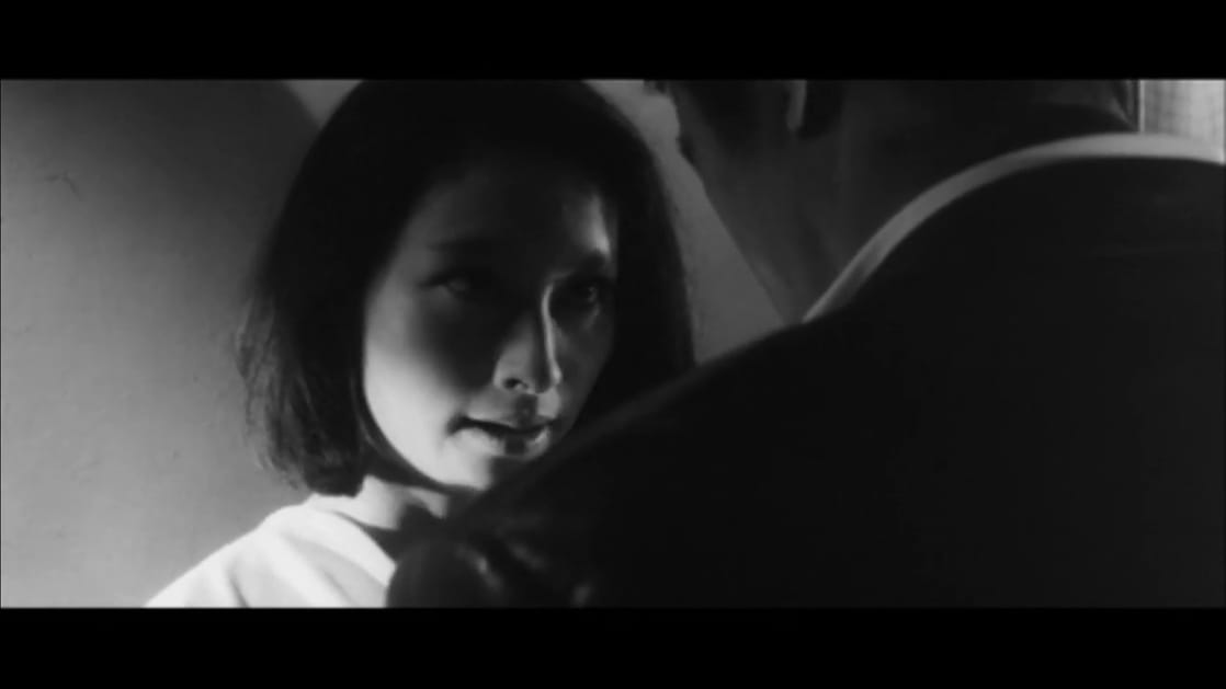 Picture of Homeless Dog