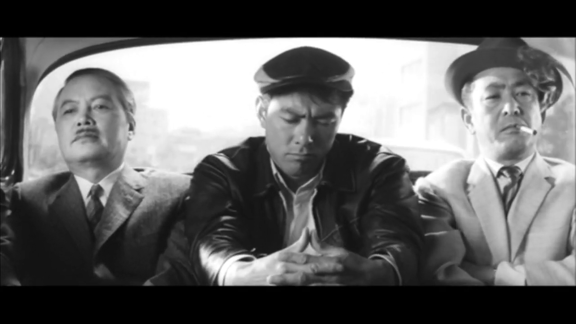 Picture of Homeless Dog