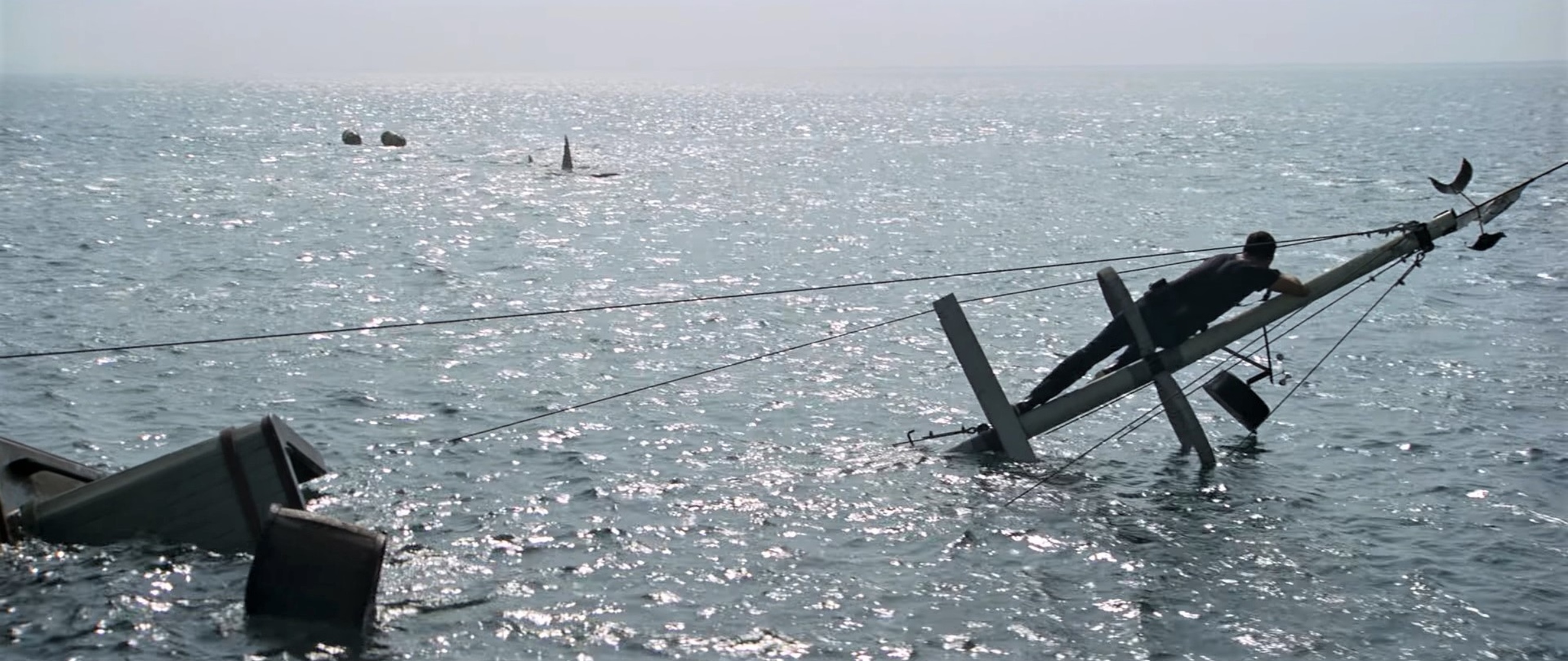 Image of Jaws (1975)