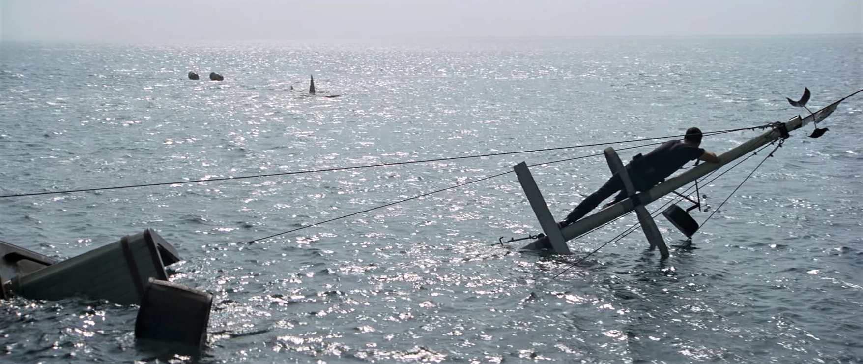 Image of Jaws (1975)