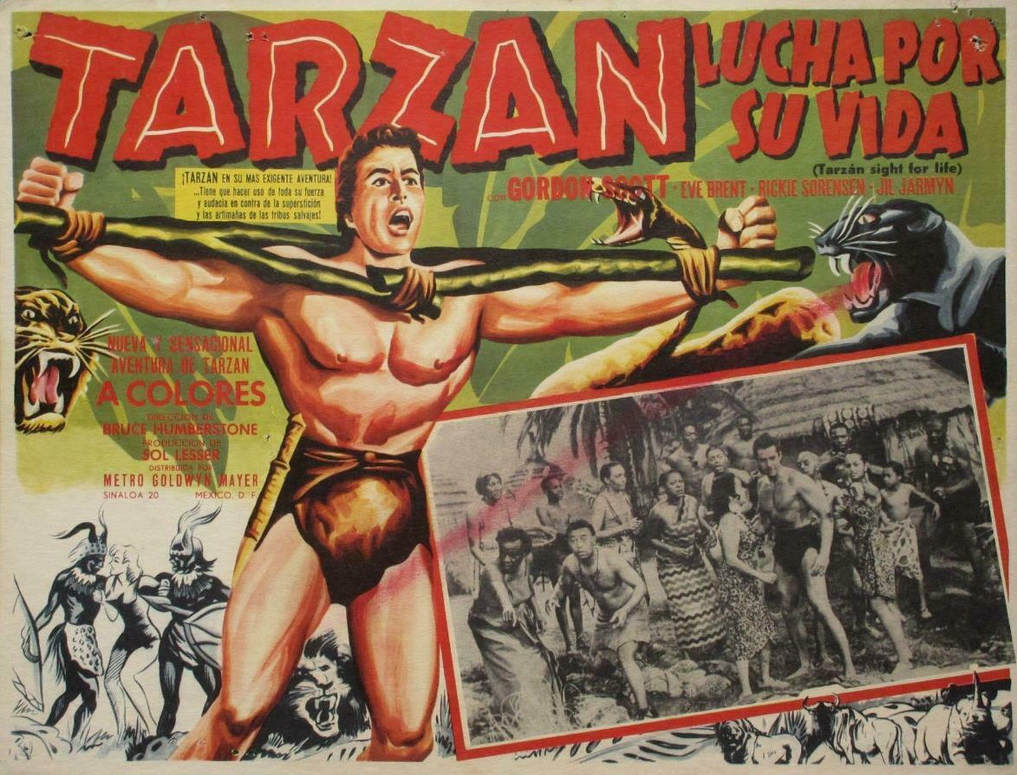 Tarzan's Fight for Life (1958)