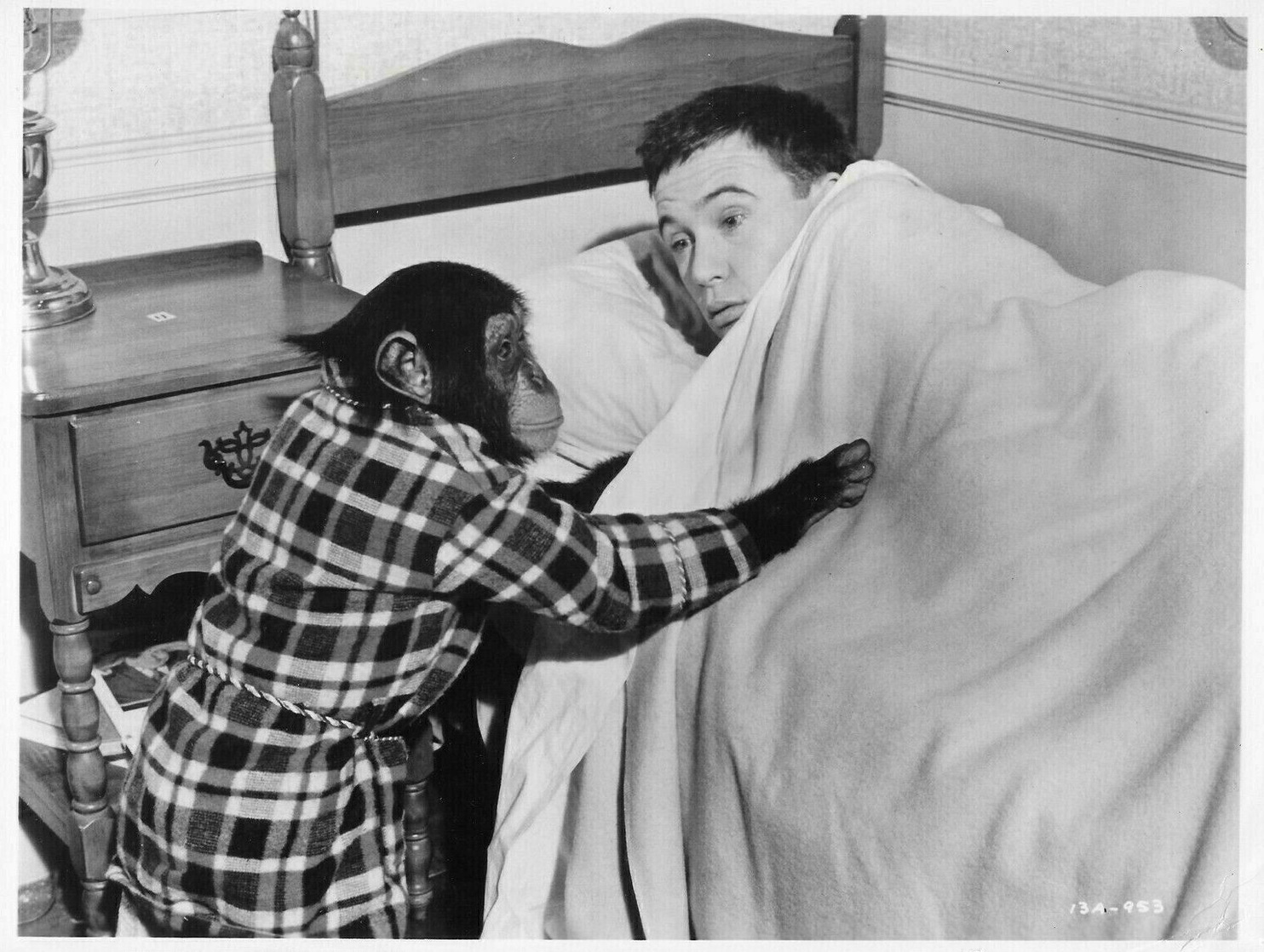 Picture of The Monkey's Uncle (1965)