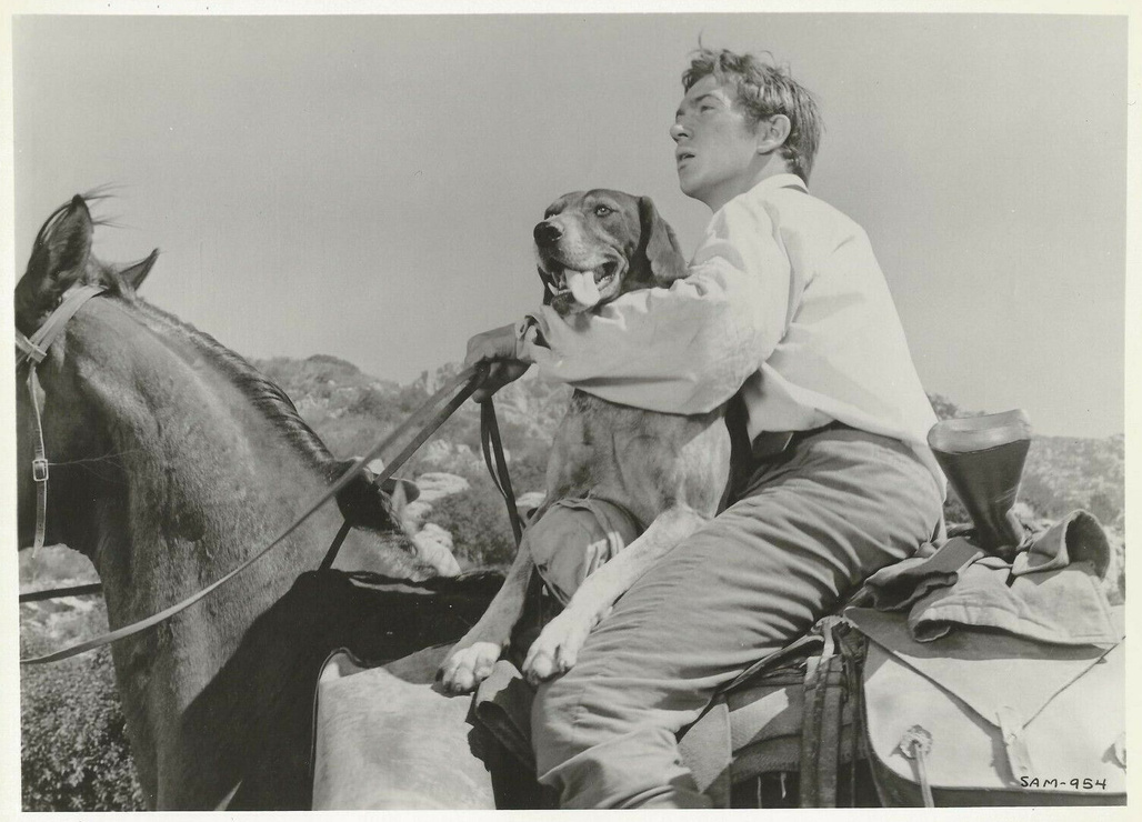 Savage Sam (1963) image