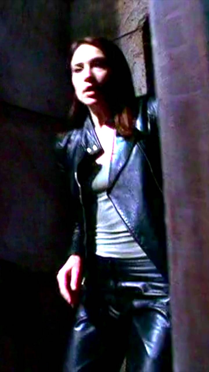 Claire Forlani as Interpol Agent "Nicole James" [T