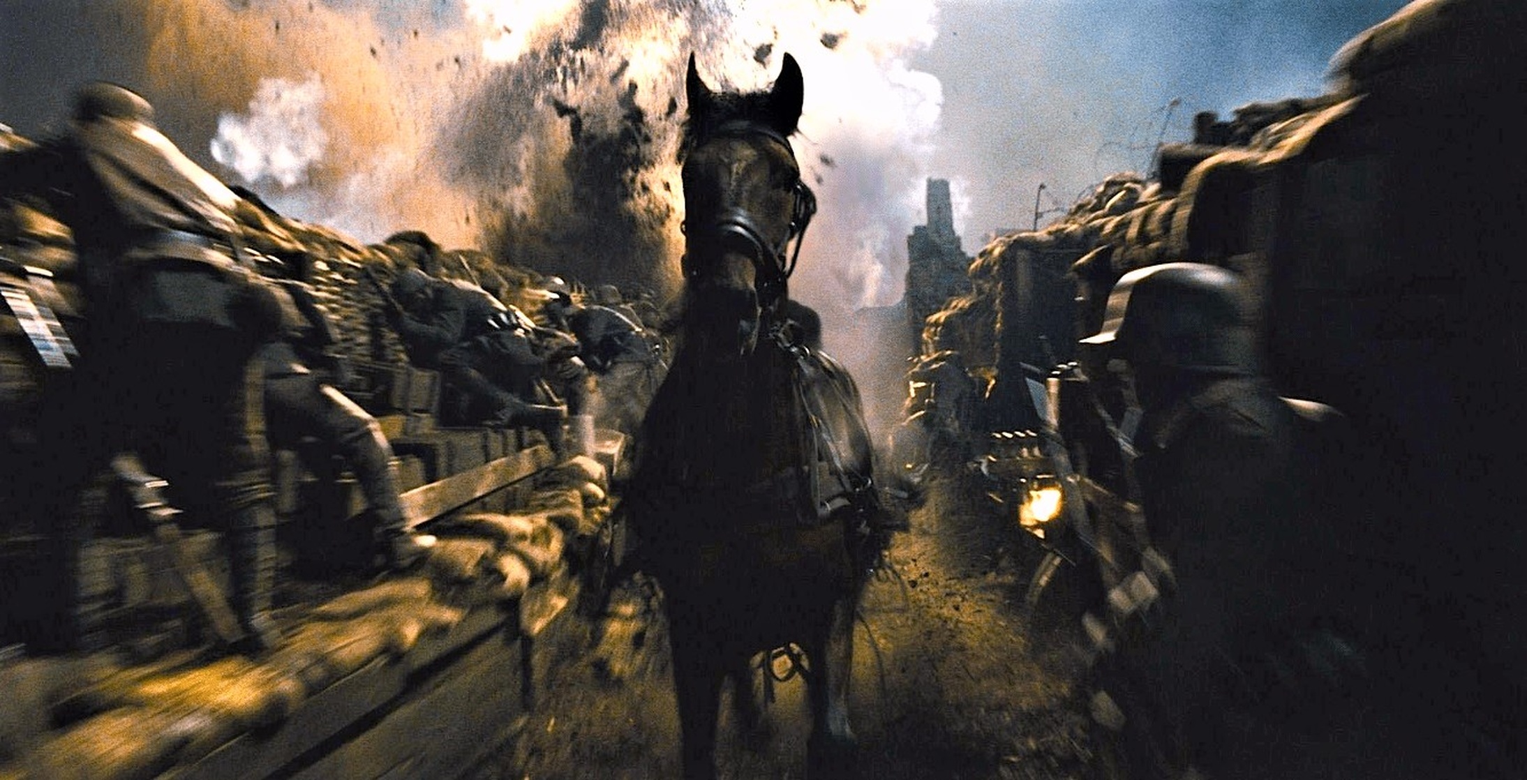 Picture of War Horse