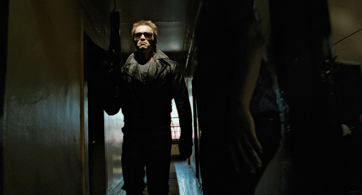 The Terminator (1984) image