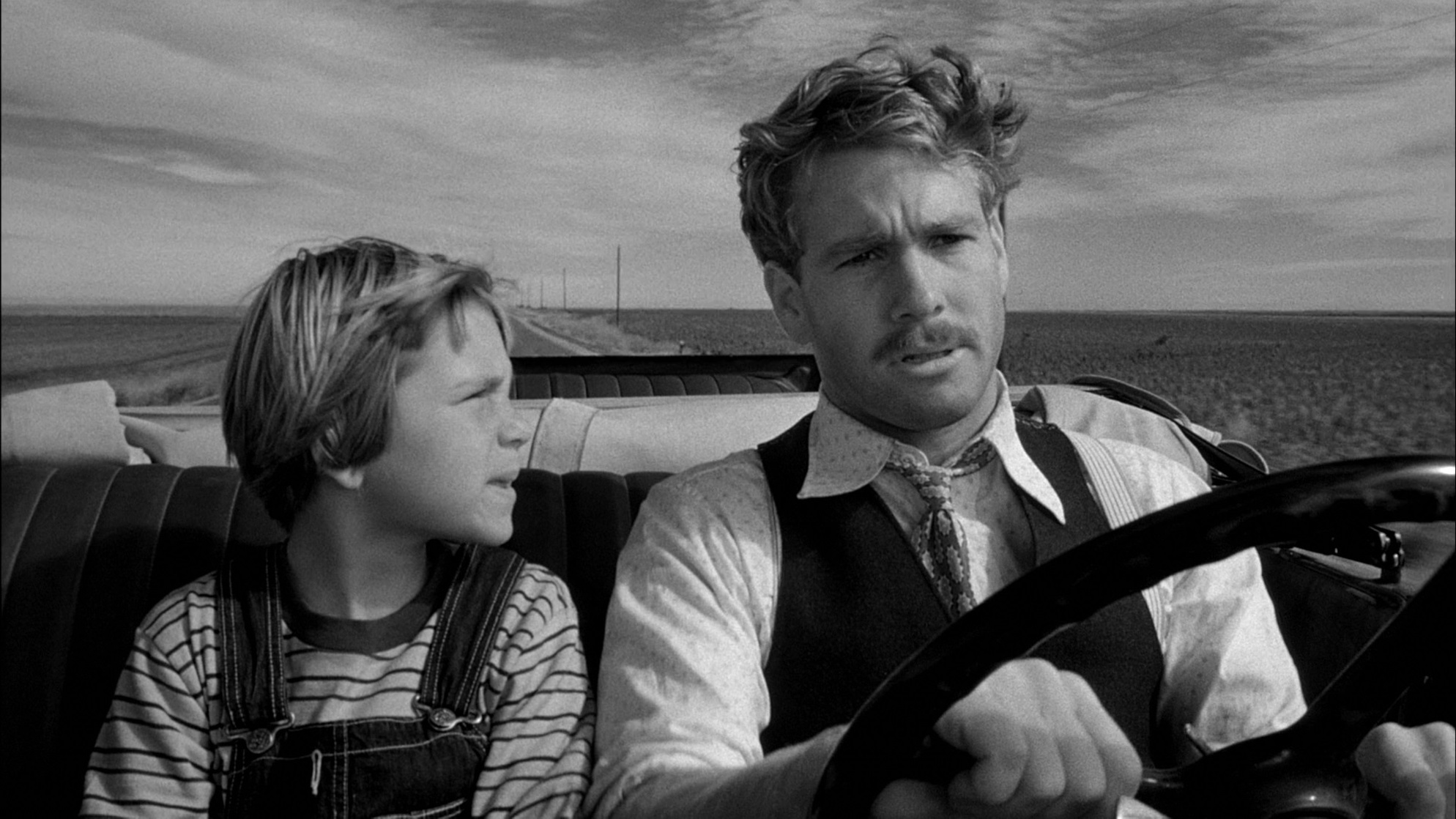 Picture of Paper Moon