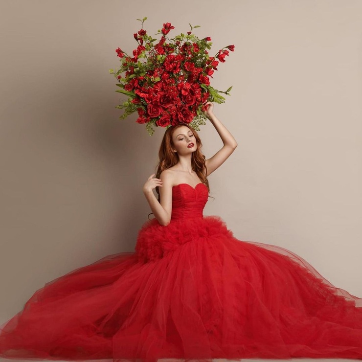 Picture of Haven Housh