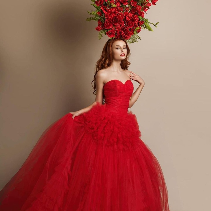 Picture of Haven Housh