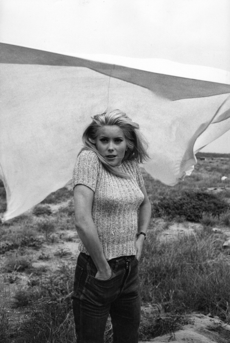Picture of Catherine Deneuve