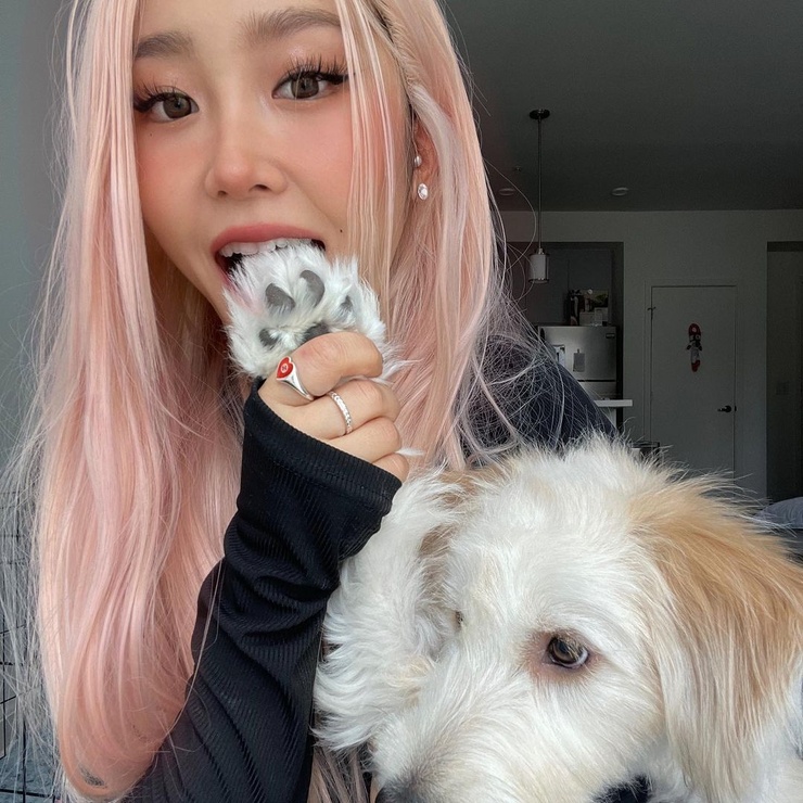 Picture of Heyoon Jeong