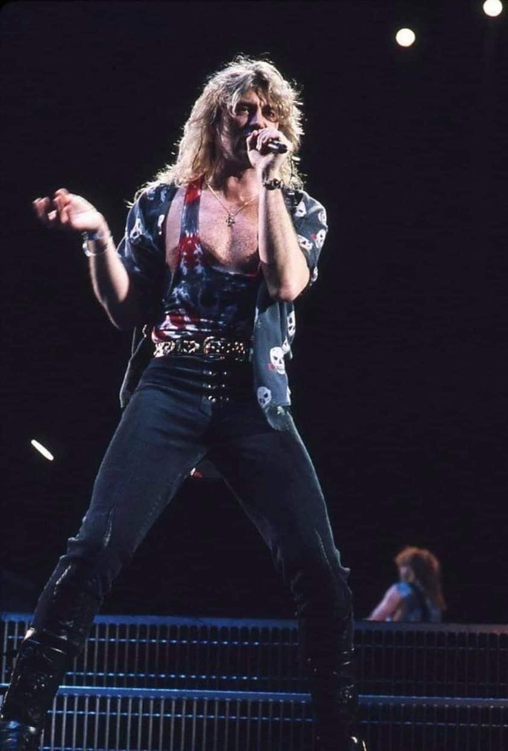 Picture of Joe Elliott