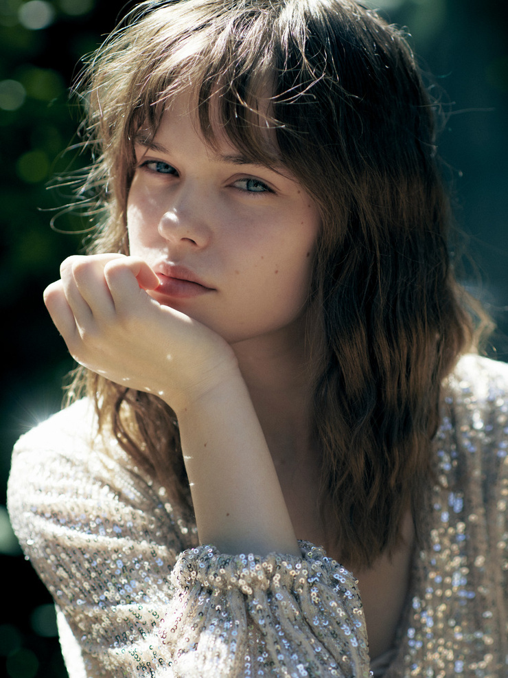 Image of Delphi Primrose