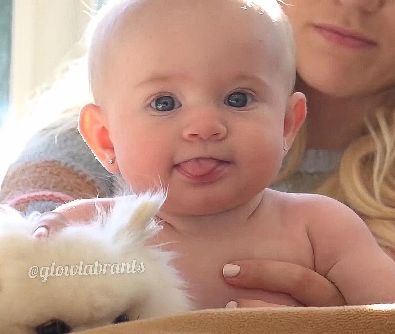 Picture of Posie labrant