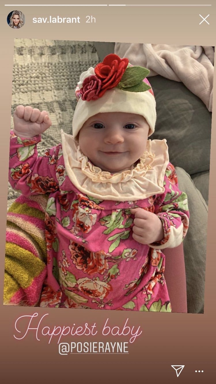 Picture of Posie labrant