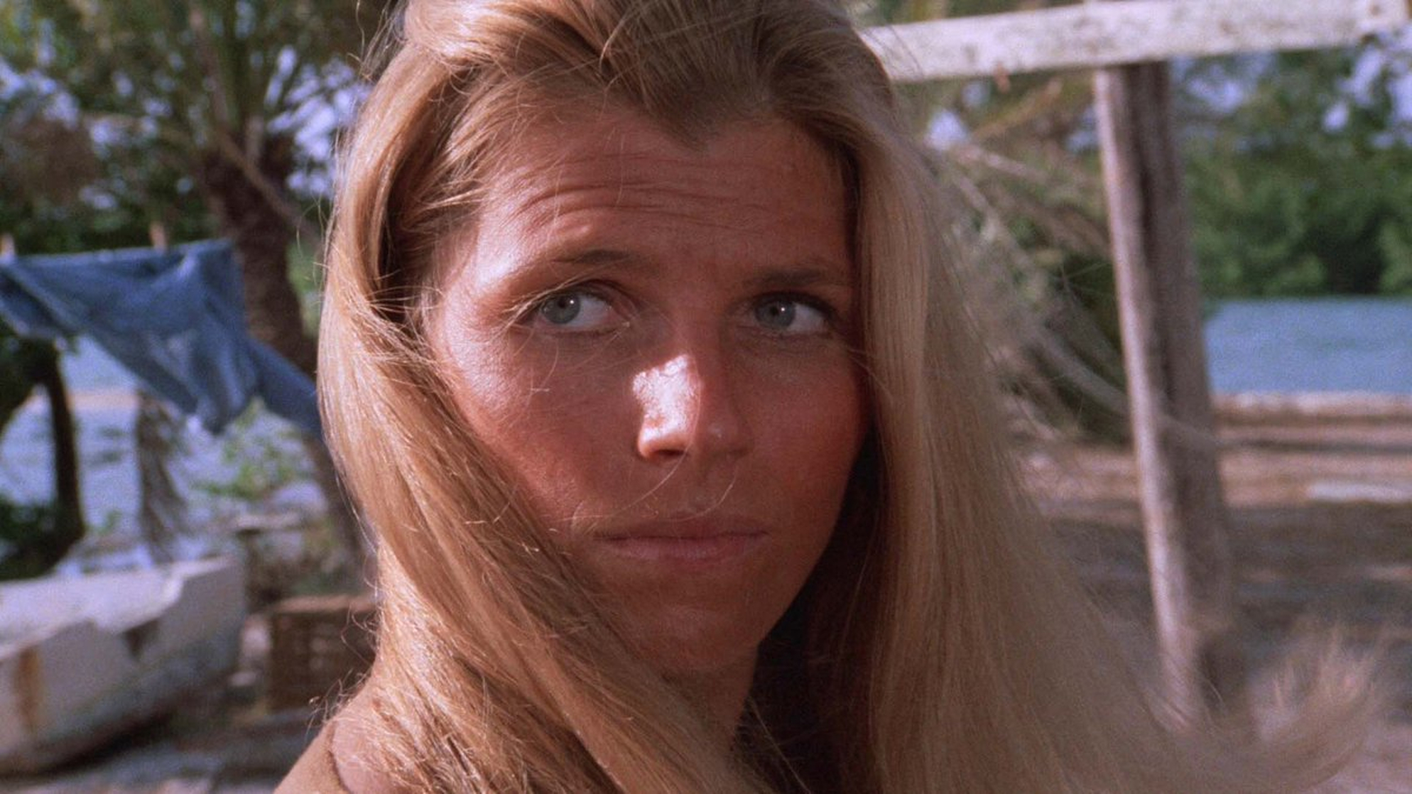 Picture of Night Moves (1975)