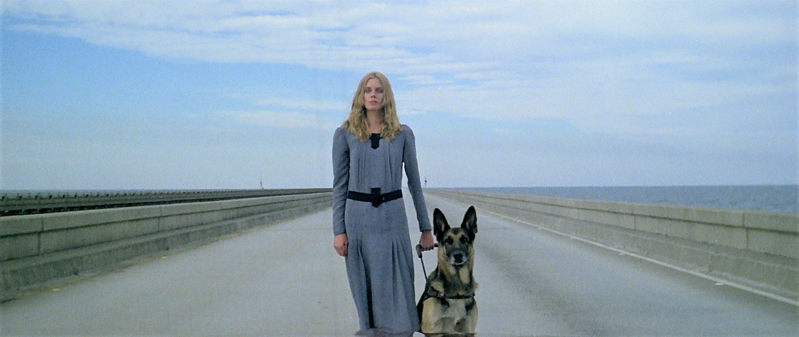 Picture of The Beyond