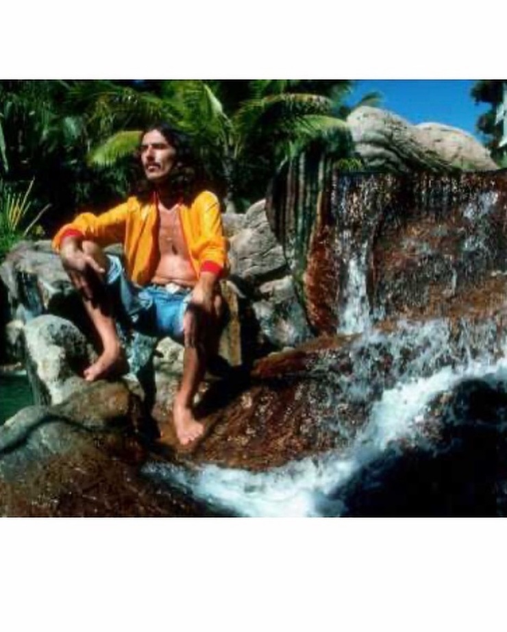 Picture of George Harrison