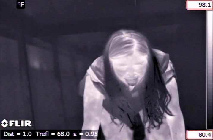 Picture of Quarantine 2: Terminal