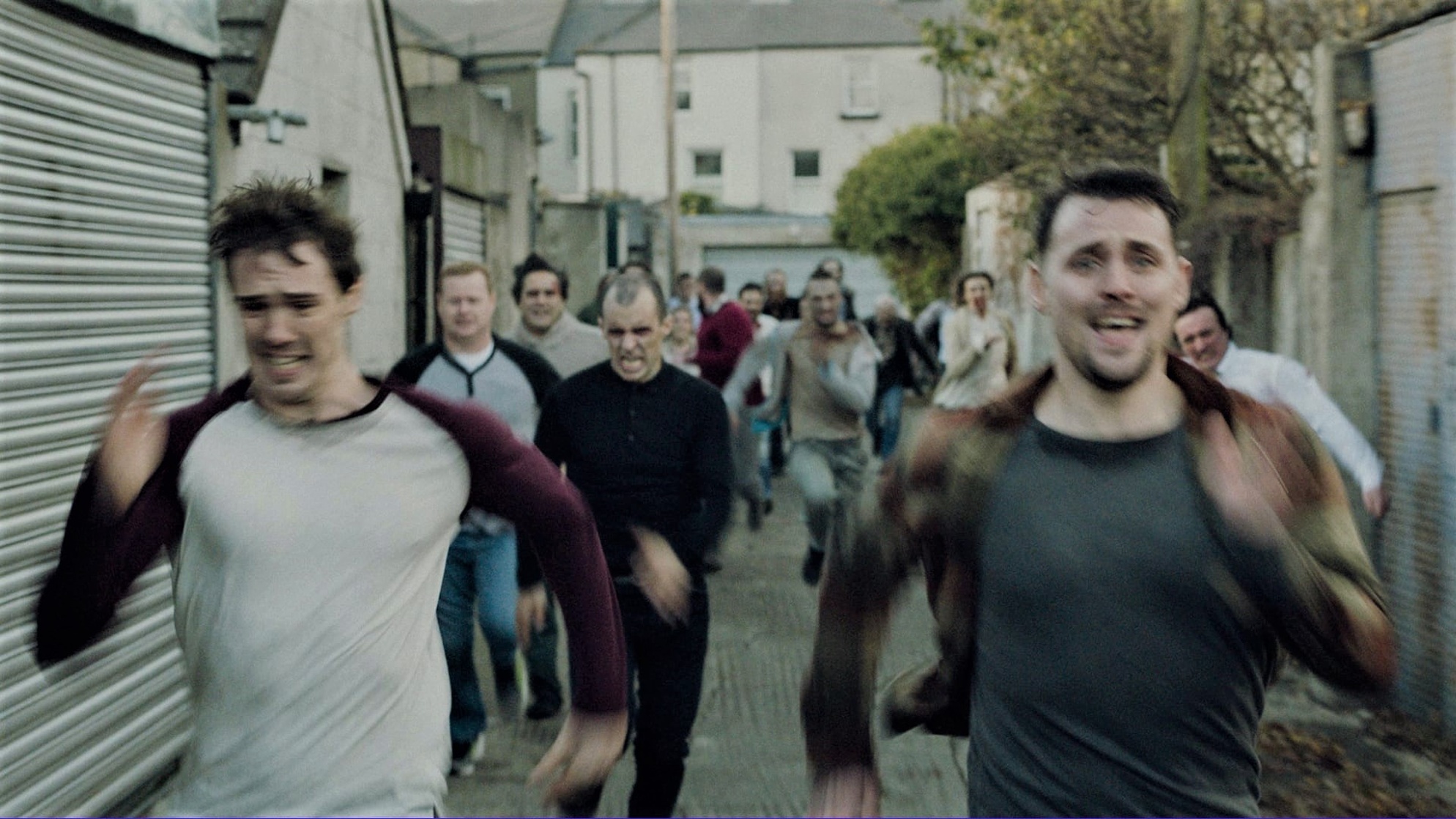 Picture of The Cured (2017)