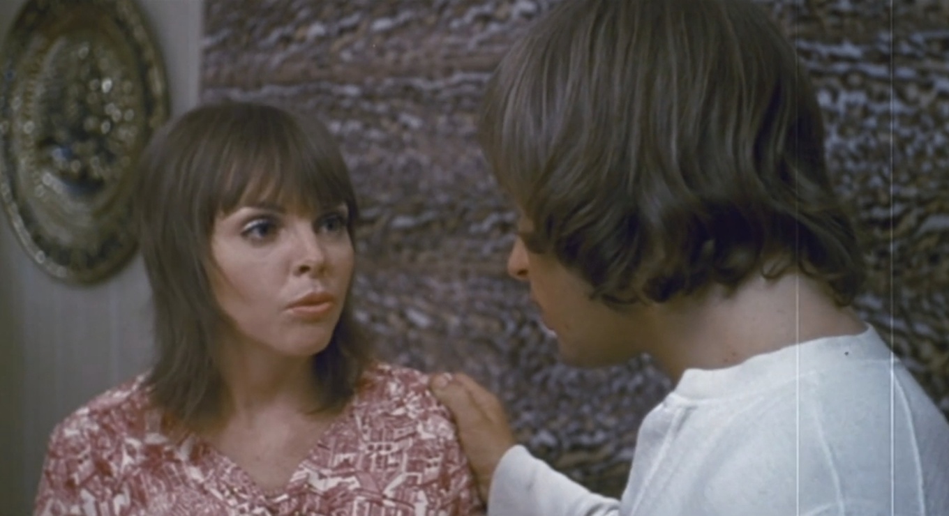 Picture of The Mislayed Genie