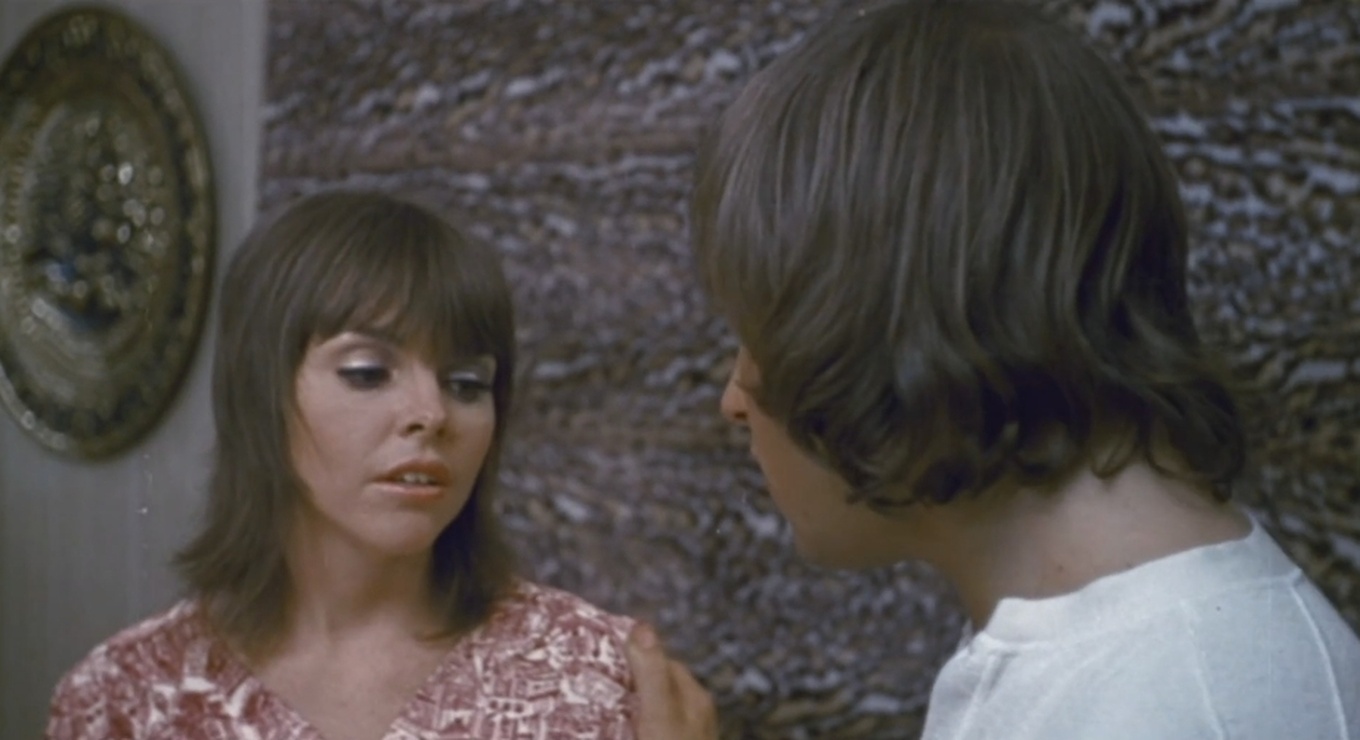 Picture of The Mislayed Genie