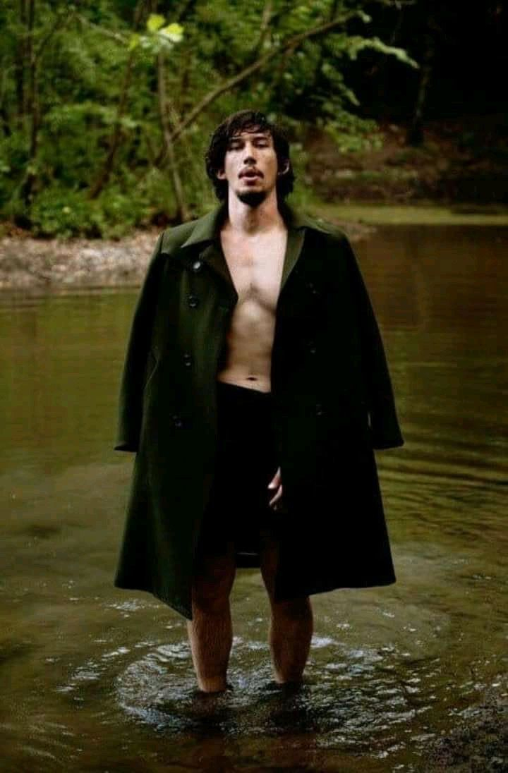Adam Driver image