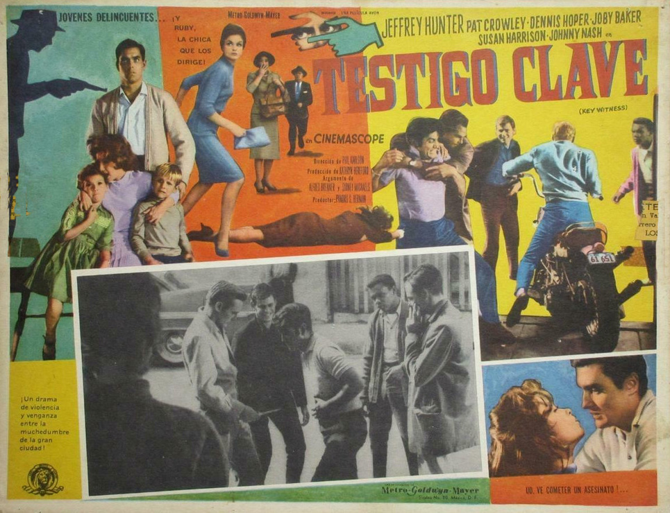 Picture of Key Witness