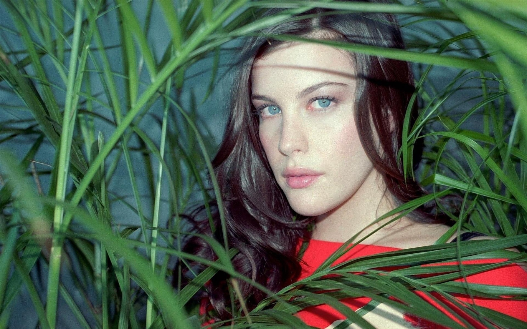 Liv Tyler picture