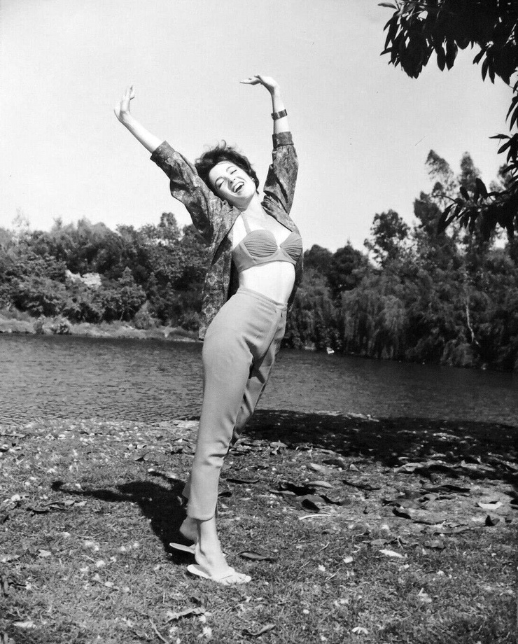Linda Cristal