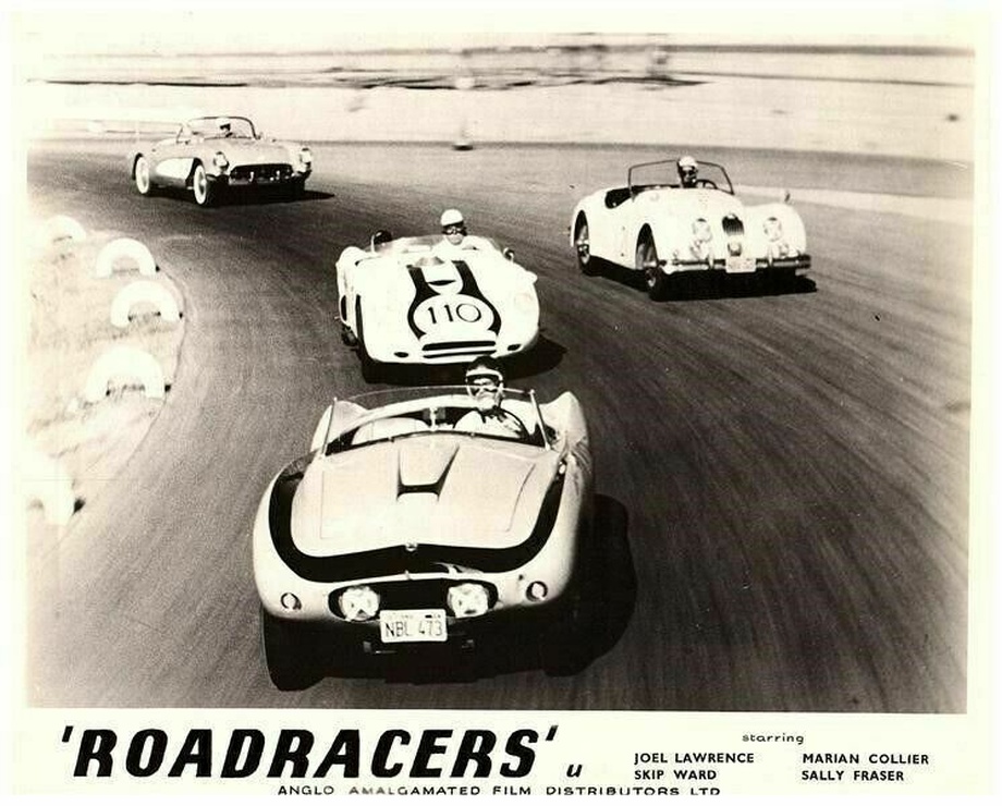 Picture of Roadracers