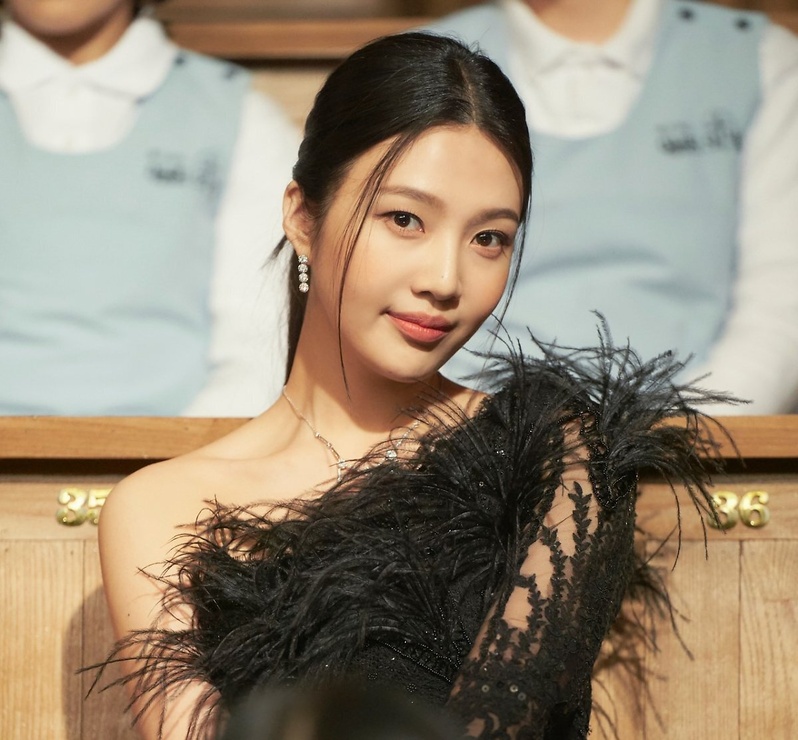 Image of Joy (Park Soo Young)