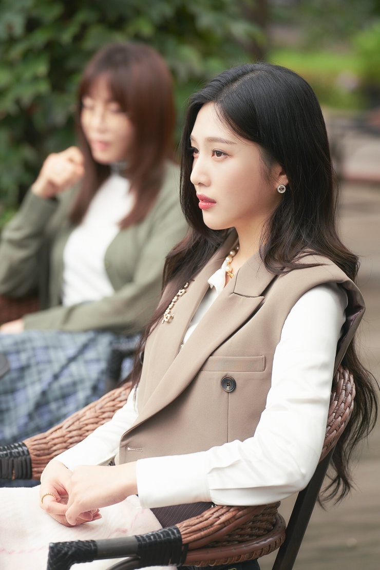 Picture of Joy (Park Soo Young)