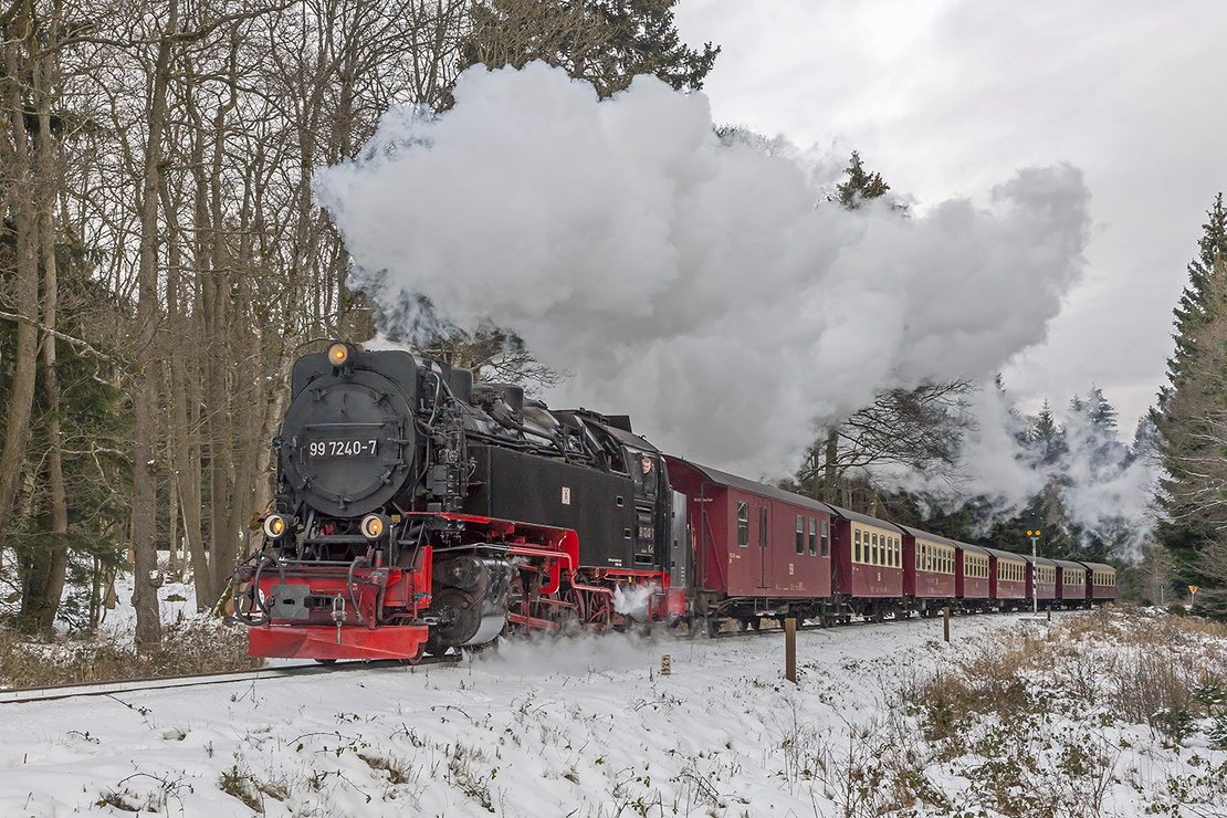 Picture of DR Class 99.23